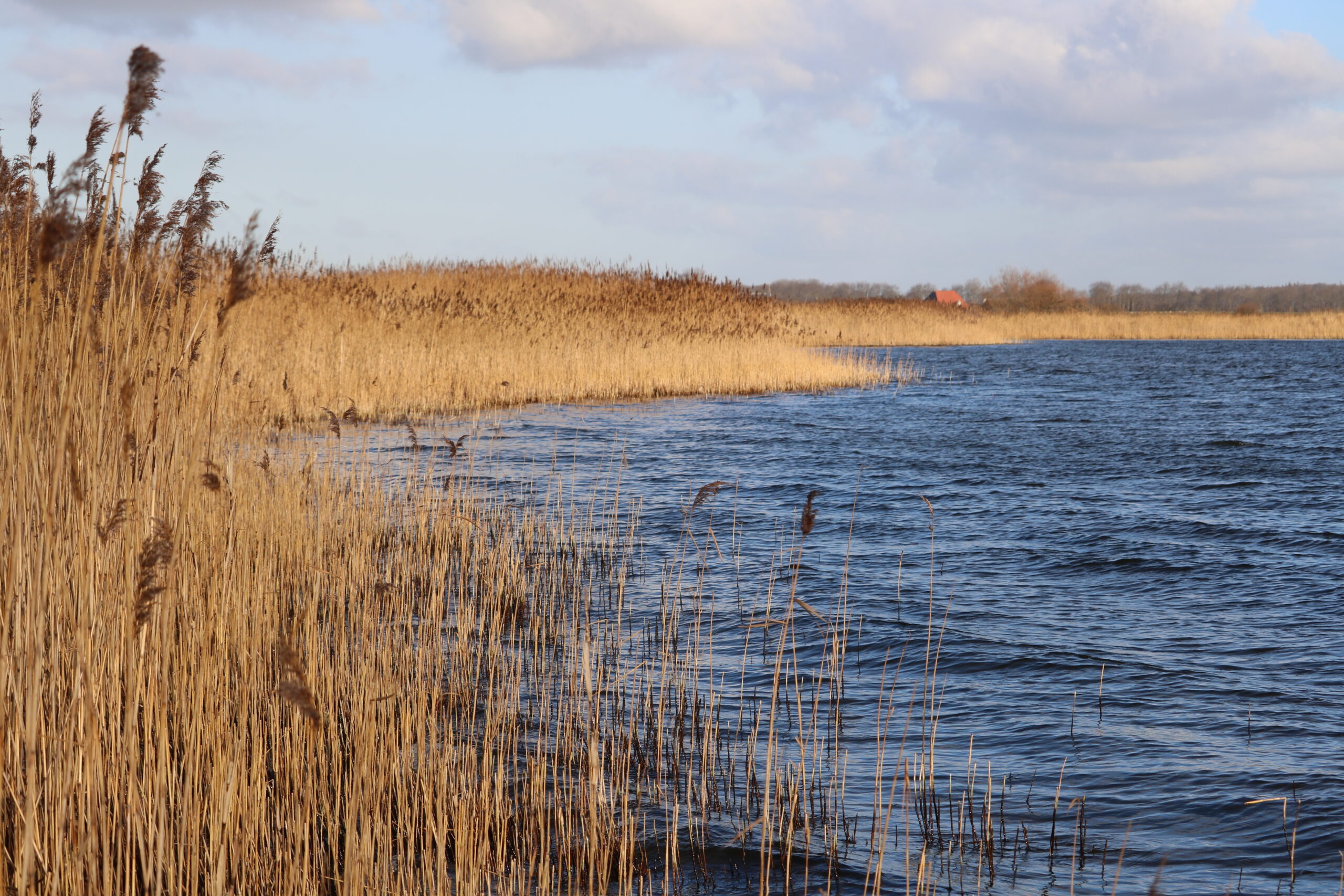 Nieuwsbrief Friese IJsselmeerkust - april 2025 - Friese IJsselmeerkust